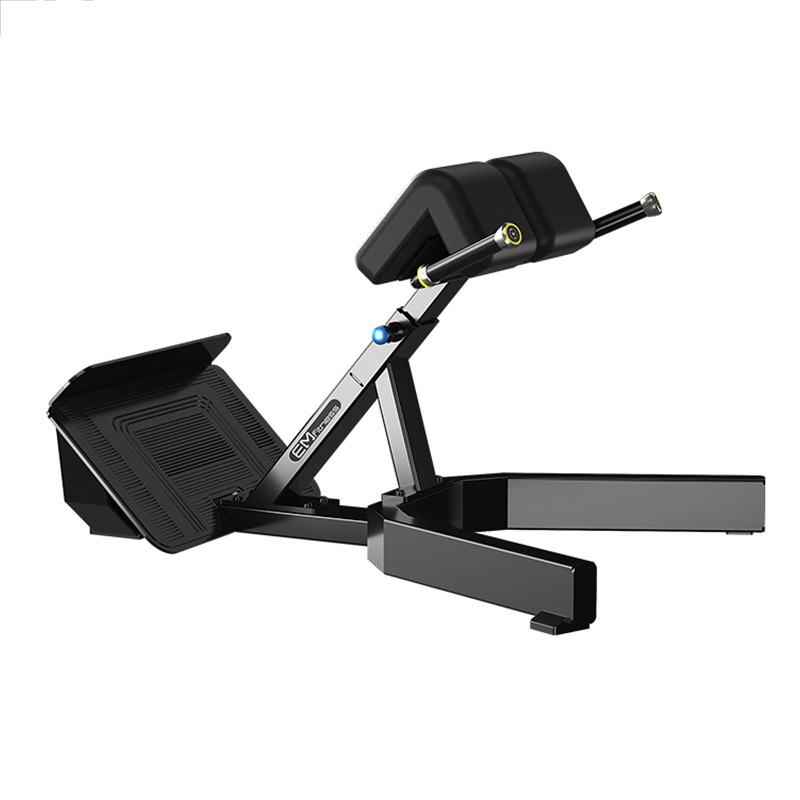 Gym commercial Roman chair - QINGDAO HUAOUSI(HOS) FITNESS EQUIPMENT CO.,LTD
